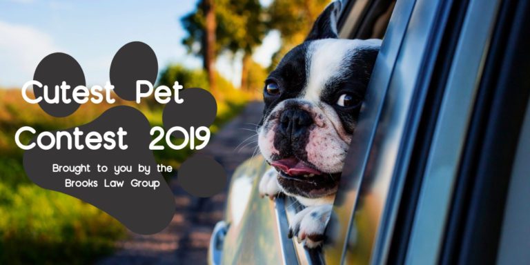 Cutest Pet Photo Contest! - Brooks Law Group
